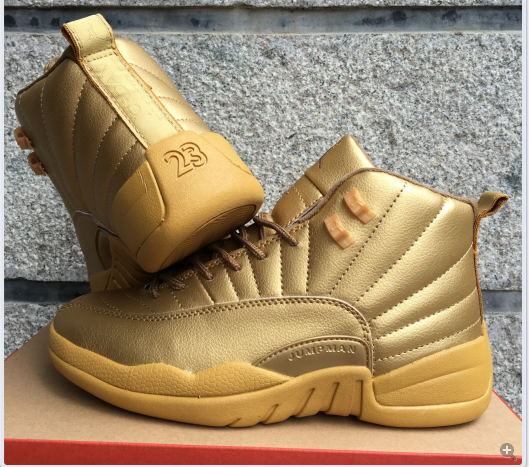 Air Jordan 12 Retro For Sale & Nike Hoops Shoes